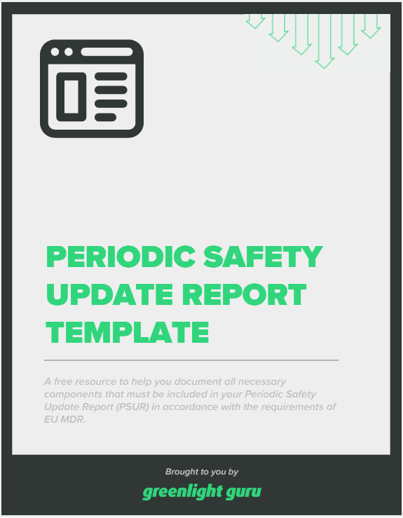 Periodic Safety Update Report Template - Free Download