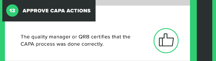 CAPA Process: Step-by-Step Instructions [+ Free Infographic]